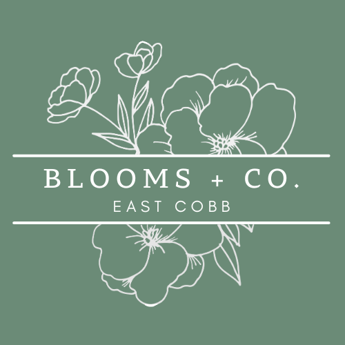 Bouquet Size Guide | Pick the Perfect Arrangement